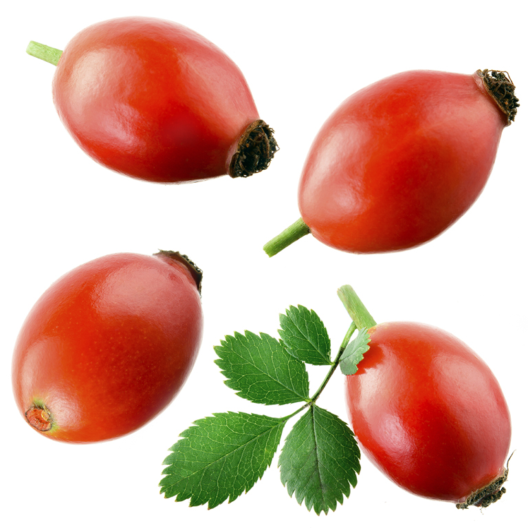 Rosier muscat raffinée || Olisud